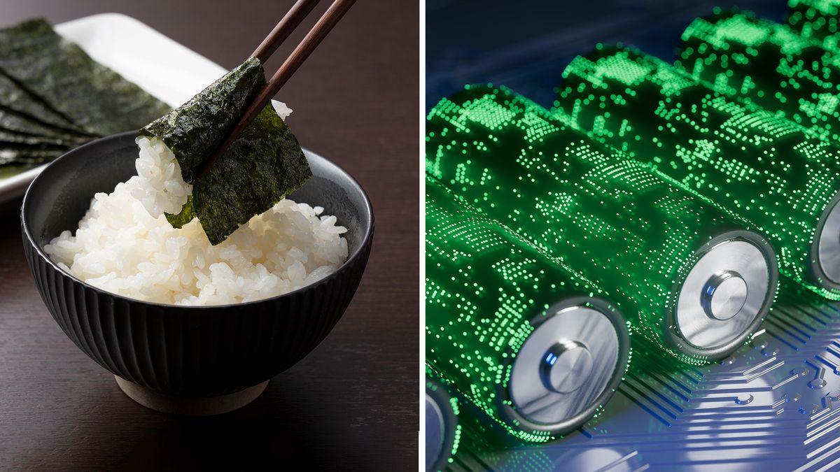 This Is The First-Ever Rechargeable Edible Battery That Can