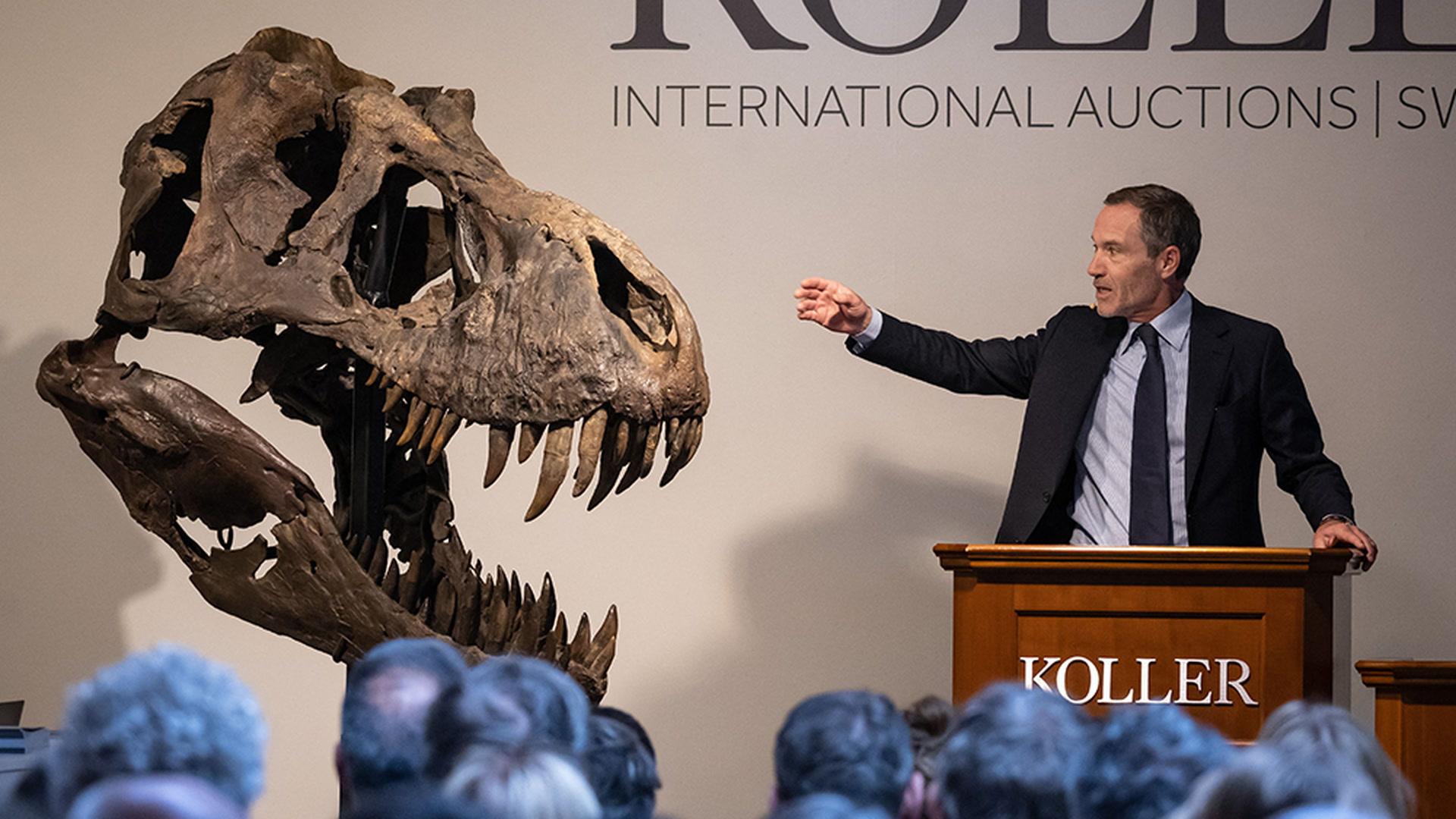 The First-Ever T-Rex Skeleton In Europe Has Sold For 5.55 Mi