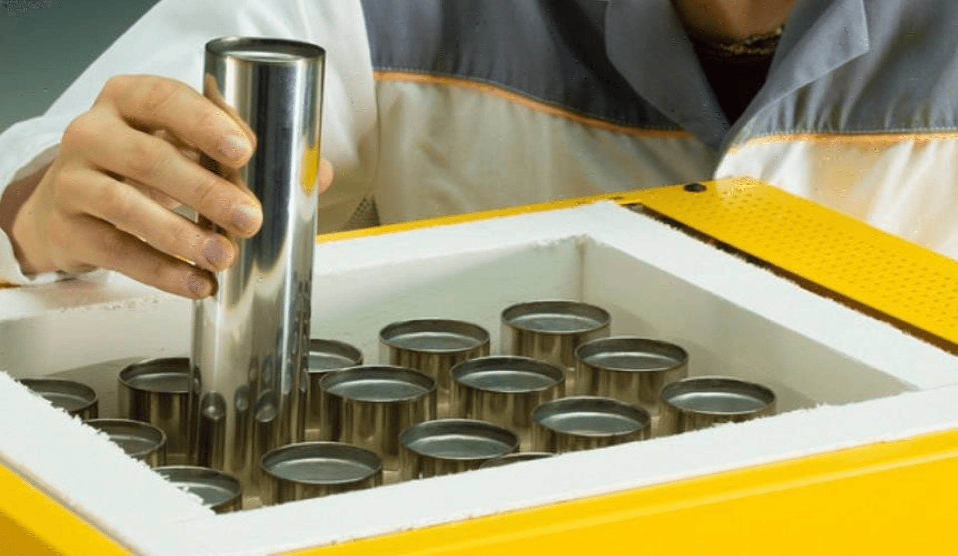 Researchers Just Discovered A Lithium-Ion Battery Alternativ