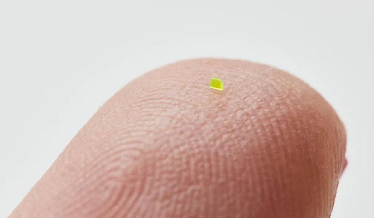 This Microscopic Louis Vitton Handbag Has Been Auctioned For