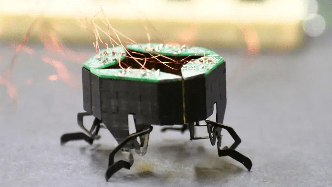 This Tiny New Insect-Like Robot Can Actually Shape-Shift