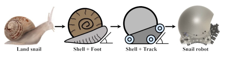 Watch Iron-Shelled Robo-Snails Swarming Together For Off-Roa