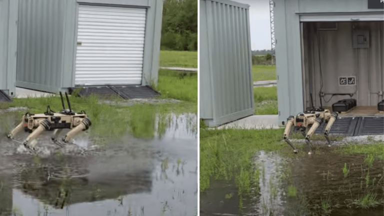 This New Raiding Robot Dog By The U.S. Police Can Kill Wi-Fi