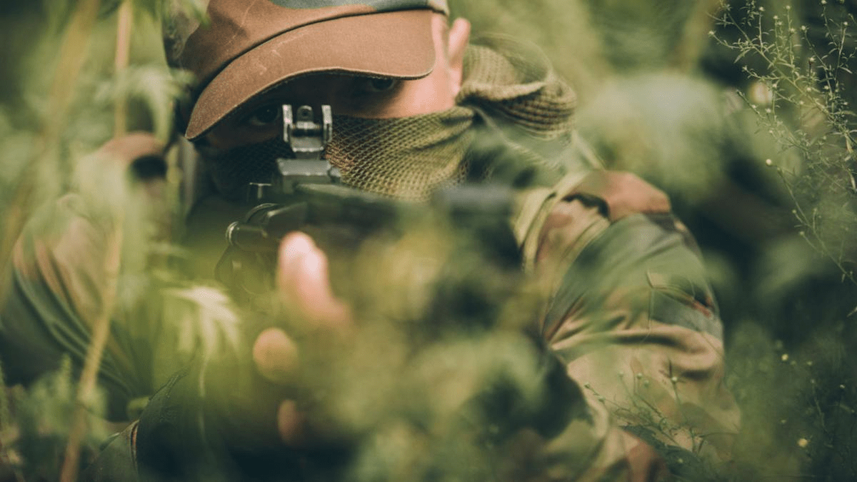 China Creates Chameleon-like Camouflage Tech With ‘Invisib