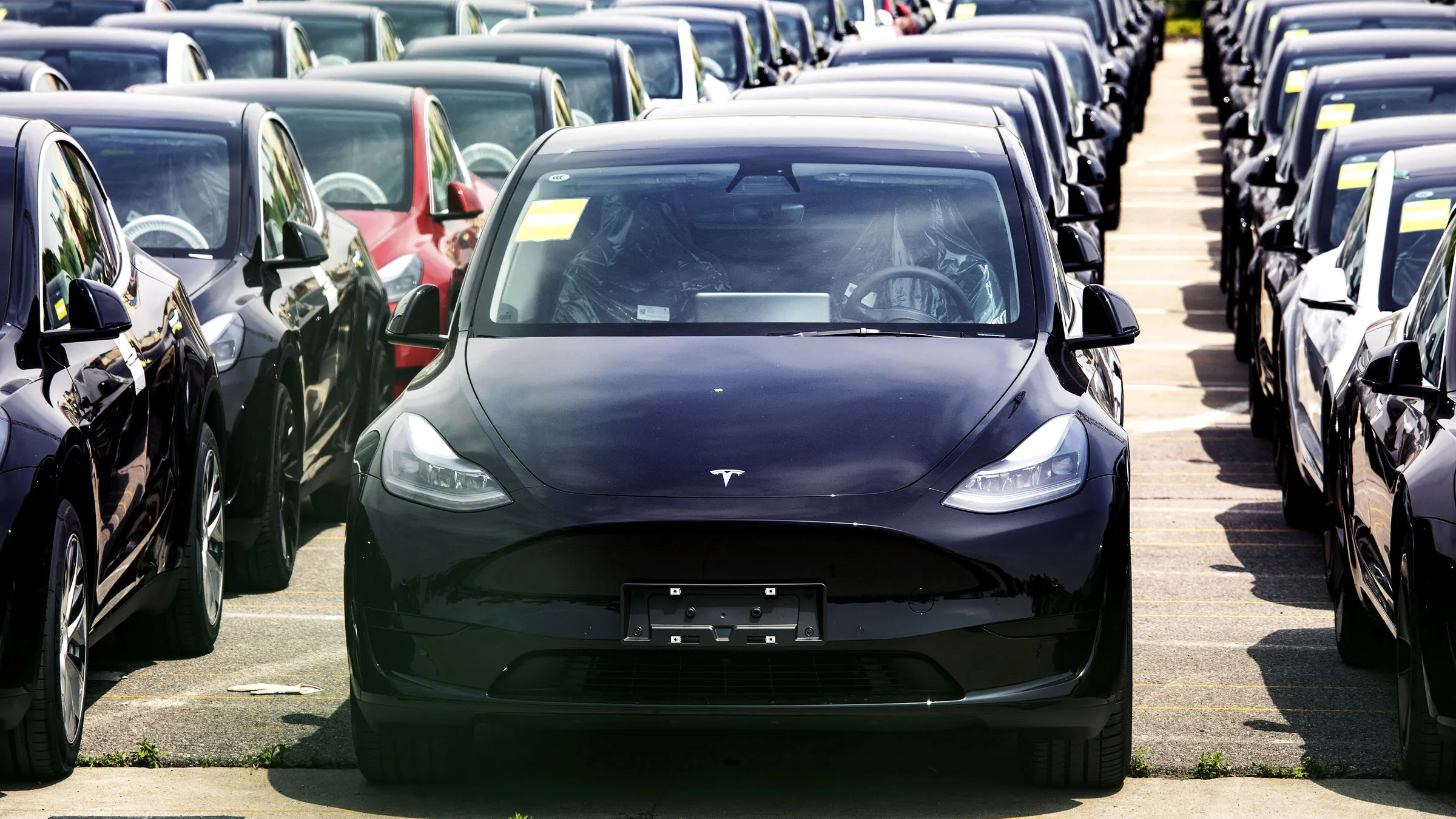 Company Returns Entire Tesla Vehicle Fleet Because Of Elon M