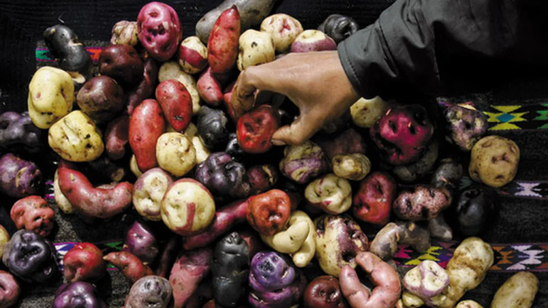Scientists Finally Know Where Potatoes Come From - And The A
