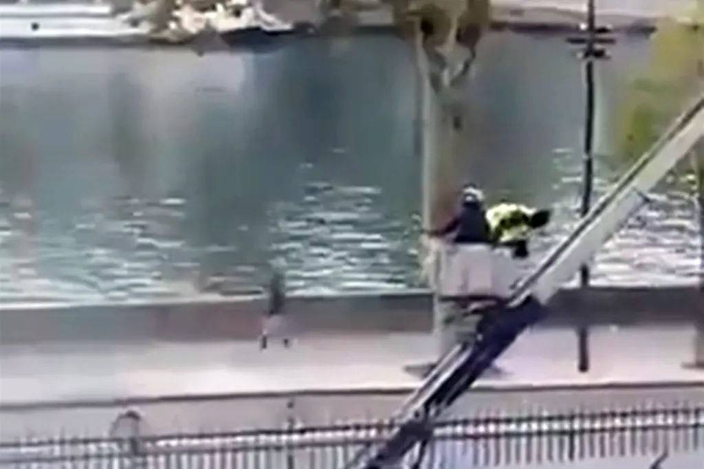 Astounding Footage Shows Louvre Thieves’ Slow-Motion Getaw